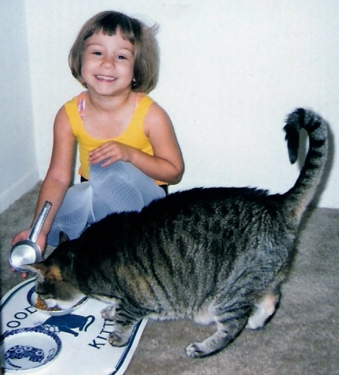 Teaching Children About Cats