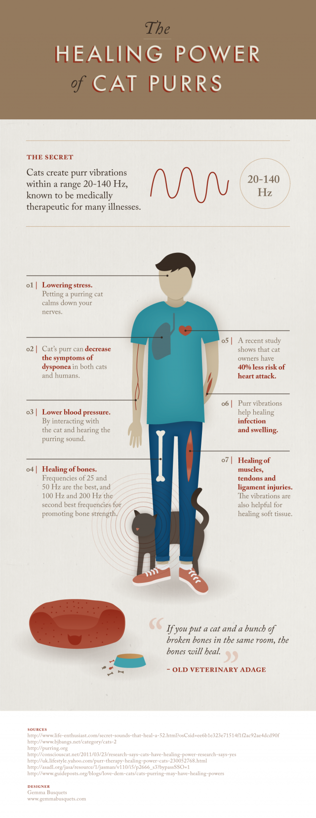 Healing Power Of Cat Purrs (Infographic)