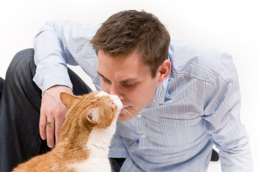 5 Ways Cats Show Us Affection