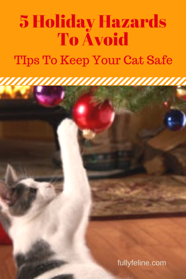 Cat Safety: Five Holiday Hazards For Cats