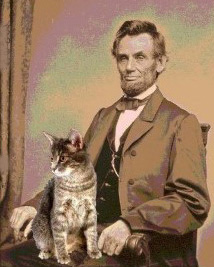 Presidential Cats: Fun "First Feline" Facts