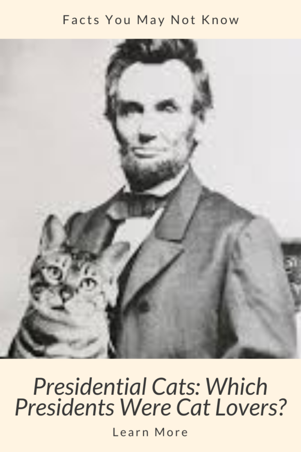 Presidential Cats: 10 "First Cat" Facts